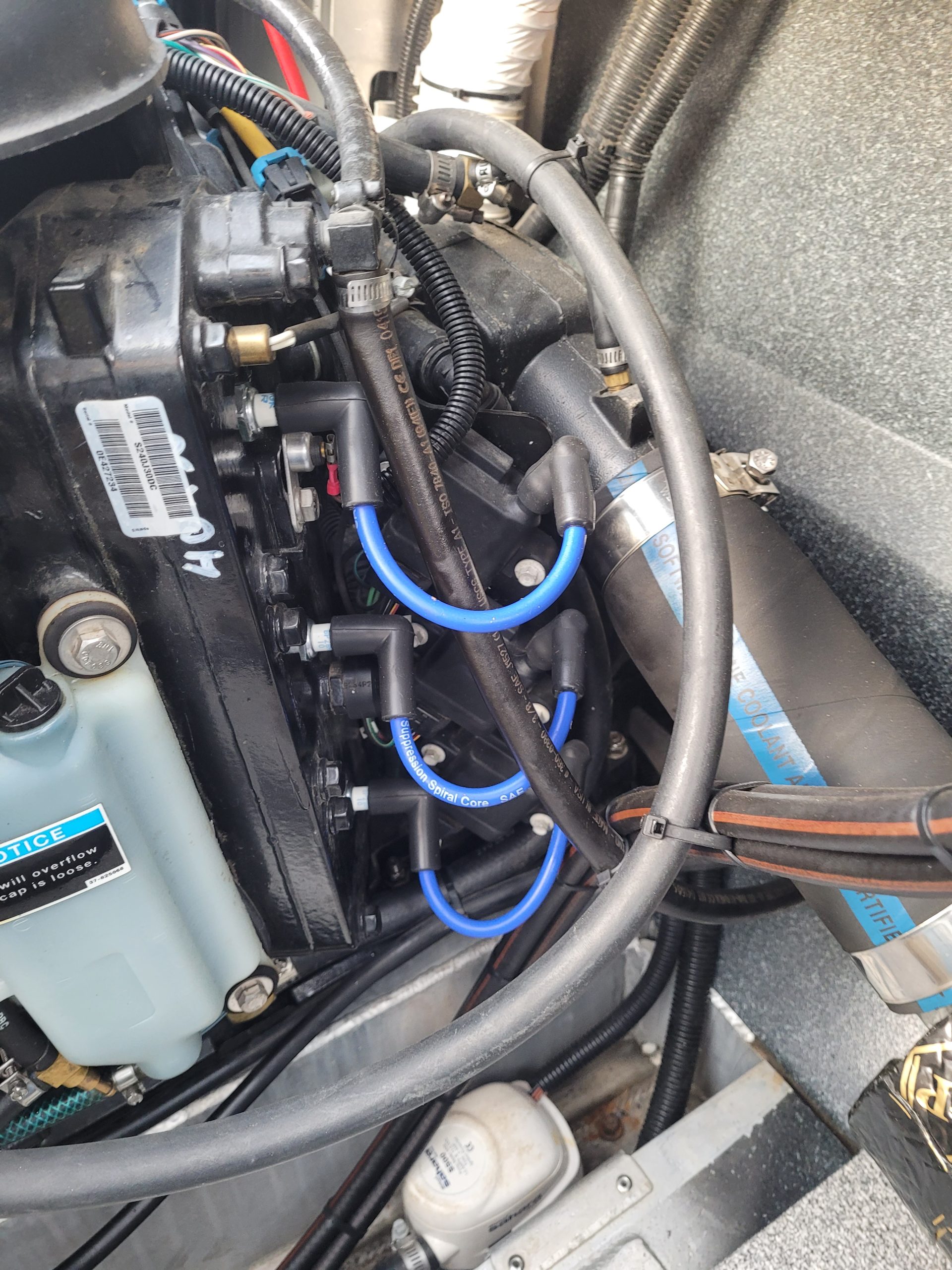 Outlaw Lynx Tuchodi Special 18′